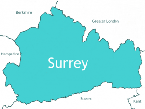 Surrey Walks Club | Weekly Walks around Surrey